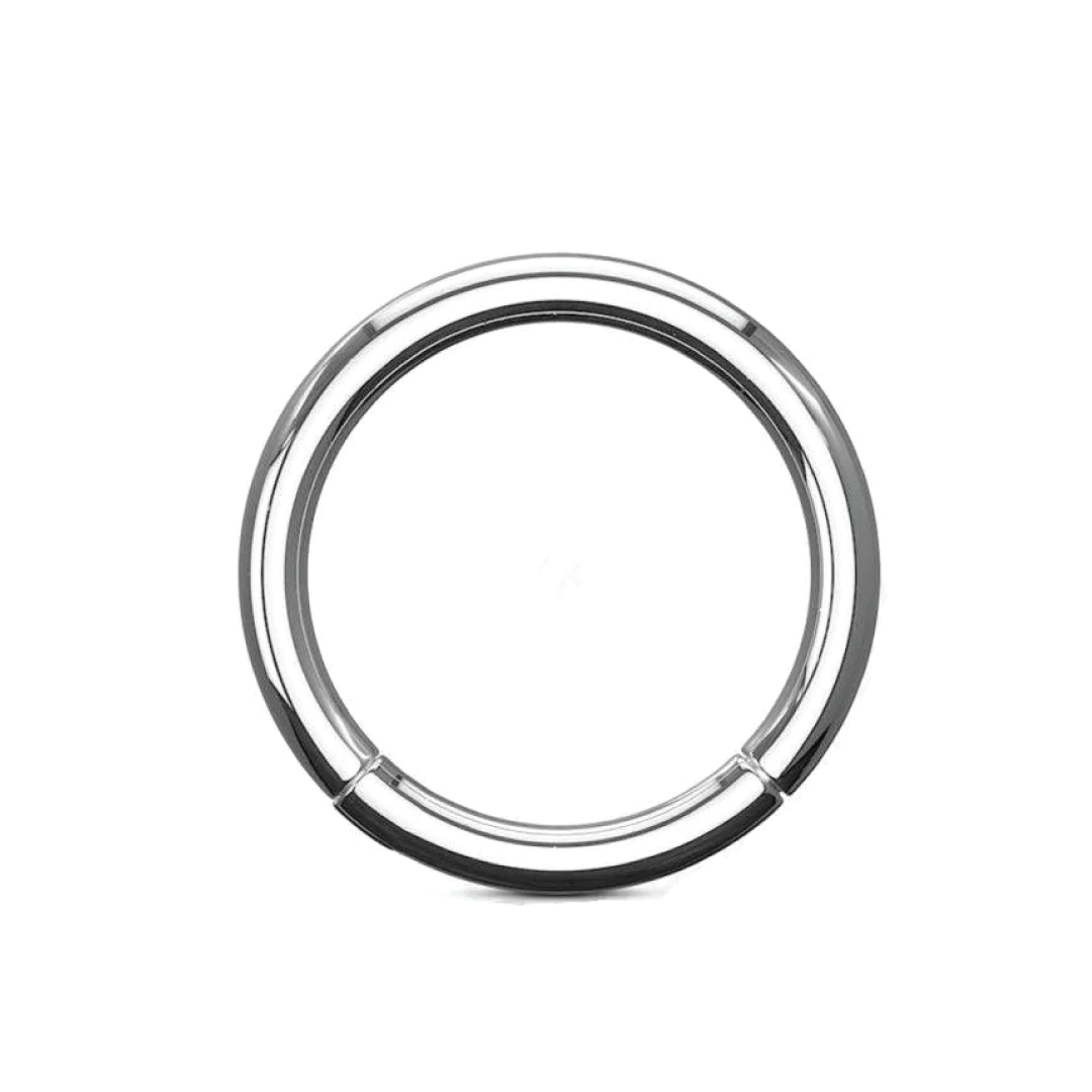 Lana - Plain Titanium Segment Ring – Cura - Piercing Jewellery